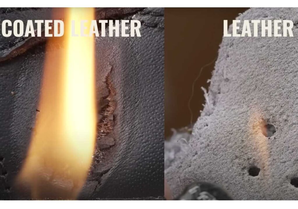 Air Jordan 1 Low Fit: Find Your Perfect Size and Comfort - Saucedby